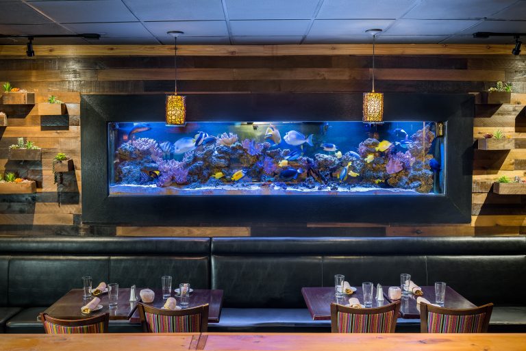 Peruvian and Bolivian Cuisine | Los Andes Restaurant